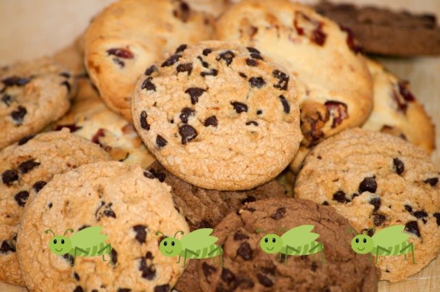 Wanna Try My Bug Cookies? - Crafty Chica