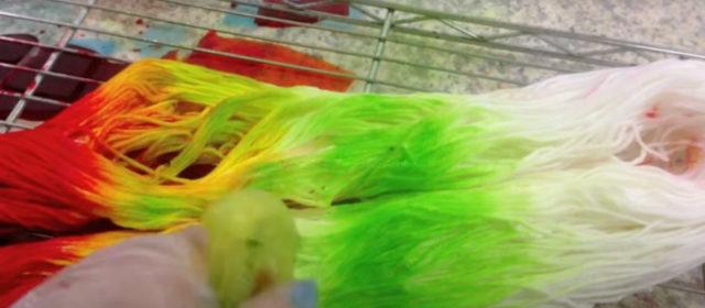 DIY Tie Dye Rainbow Yarn - Crafty Chica