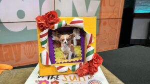 Easy busted canvas tutorial - Crafty Chica