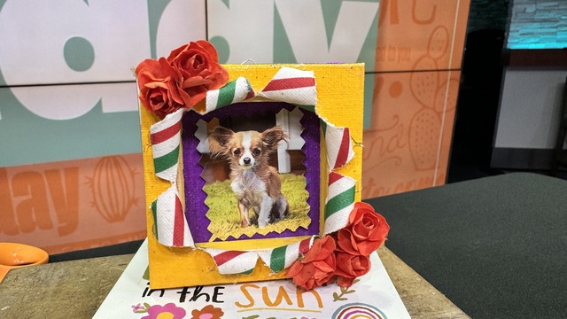 Easy busted canvas tutorial - Crafty Chica